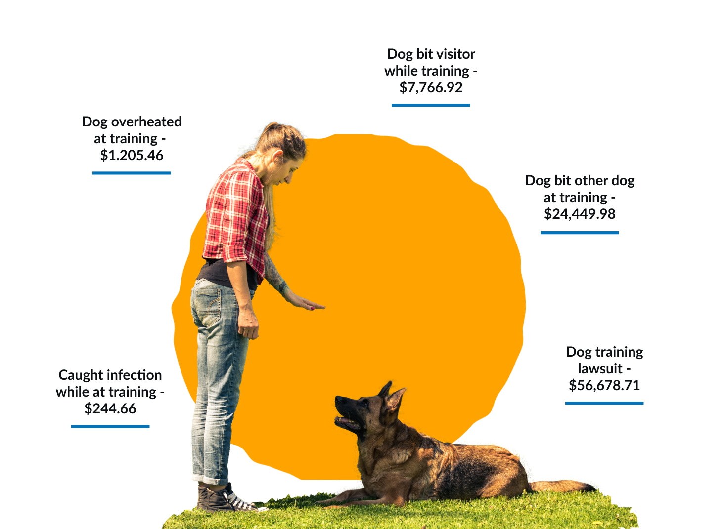 Dog Trainer Insurance | Buy Policy Online $26.10/month