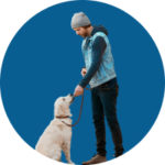 Pet Care Insurance for Pet Business Professionals | PCI