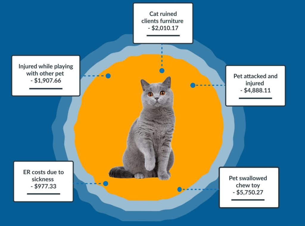 Liability Insurance, Simplified | Pet Care Insurance