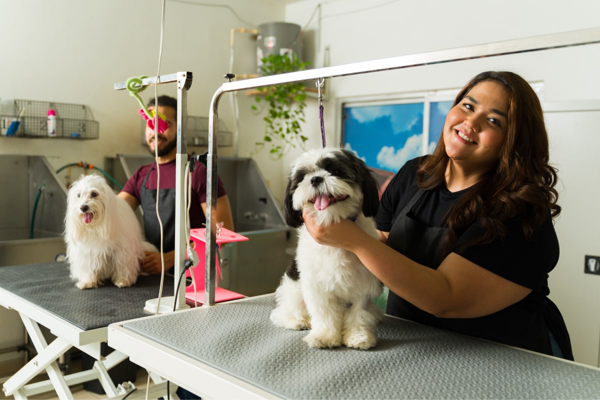 PCI Picks: Best Pet Grooming Software for 2024