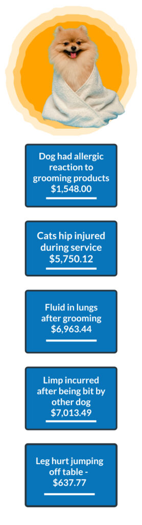 Pet & Dog Grooming Insurance | PCI